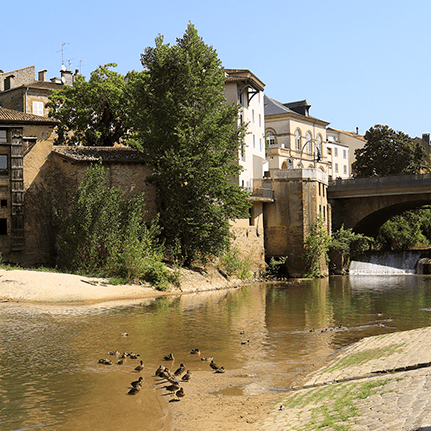 Jim & Otta - pension canine Mont de Marsan